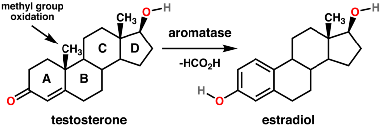 Diindolylmethane (DIM) for Testosterone - Supplements in Review