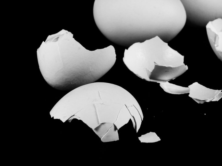 Eggshell Membrane for Joint Health - Supplements in Review