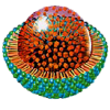 VESIsorb® - Supplements in Review